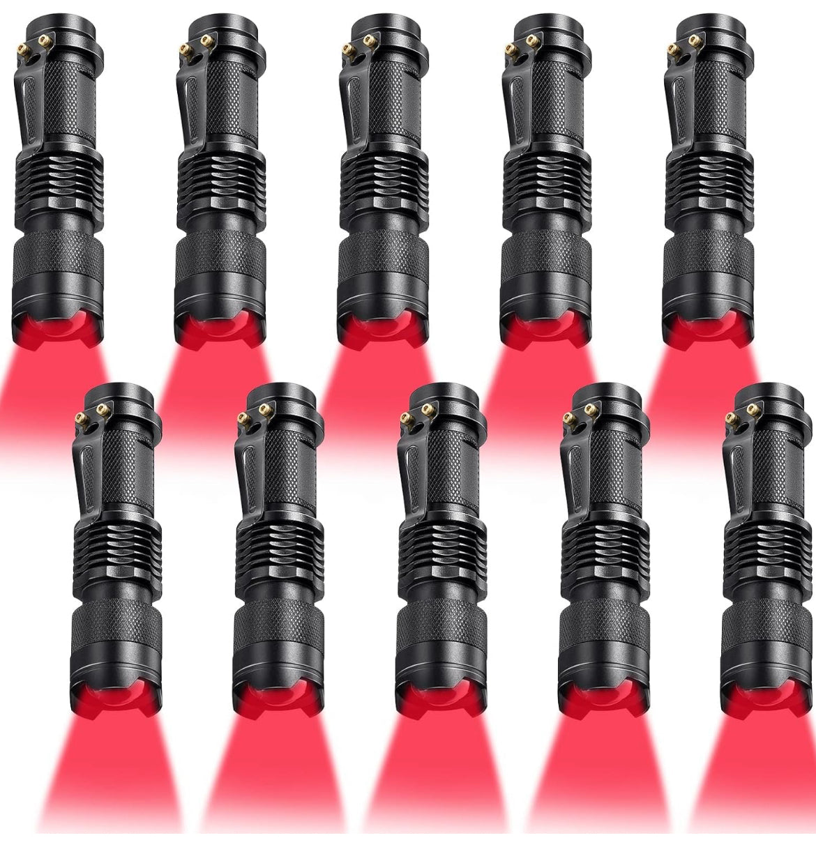 Red Light Flashlights – The Turtle's Nest Harbor Island